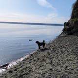 Marine View Park Loop Trail, Washington - 540 Reviews, Map | AllTrails