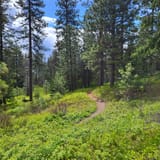 Mount Emily Recreation Area Loop, Oregon - 246 Reviews, Map | AllTrails