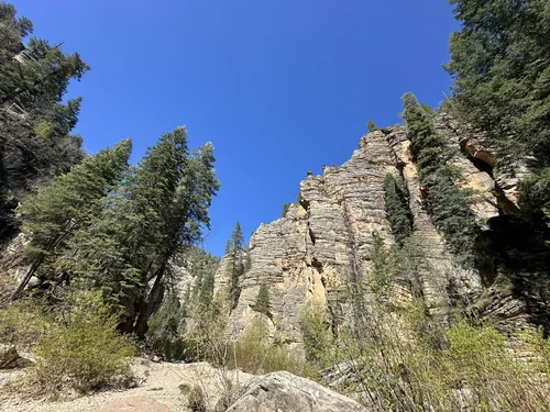 Best River Trails in Happy Jack | AllTrails