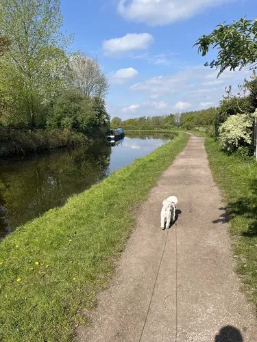 Best Hikes and Trails in Spud Wood | AllTrails