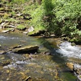 Cave River Valley Trail, Indiana - 206 Reviews, Map | AllTrails