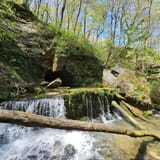 Cave River Valley Trail, Indiana - 206 Reviews, Map | AllTrails