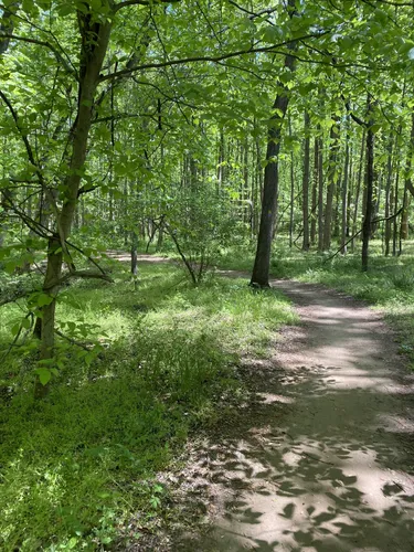 Best Mountain Biking Trails in Bacon Ridge Natural Area | AllTrails