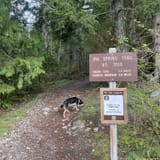 Ira Spring Memorial Trail, Washington - 2,053 Reviews, Map | AllTrails