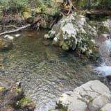 Grotto Falls via Trillium Gap Trail, Tennessee - 6,328 Reviews, Map ...