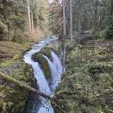 Sol Duc Falls Trail, Washington - 4,652 Reviews, Map | AllTrails