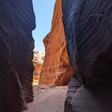 Wire Pass Trail, Utah - 2,986 Reviews, Map | AllTrails