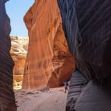 Wire Pass Trail, Utah - 2,986 Reviews, Map | AllTrails