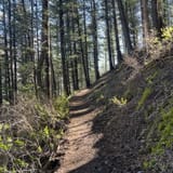 Crimson Trail, Utah - 1,256 Reviews, Map | AllTrails