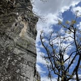 The Labyrinth Trail, New York - 628 Reviews, Map | AllTrails