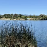 Almaden Lake, California - 818 Reviews, Map | AllTrails