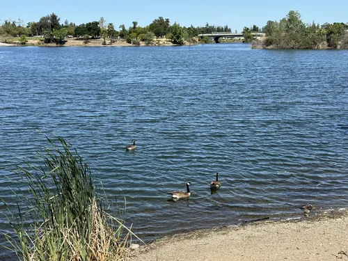 Best Lake Trails in Alviso | AllTrails