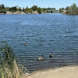 Almaden Lake, California - 818 Reviews, Map | AllTrails