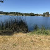Almaden Lake, California - 818 Reviews, Map | AllTrails