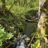 Red Town and Wildside Trails, Washington - 646 Reviews, Map | AllTrails