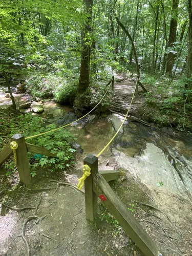 Best Forest Trails in Oak Ridge | AllTrails