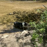 Struble Trail, Pennsylvania - 1,085 Reviews, Map | AllTrails