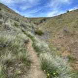 Umtanum Ridge Crest Trail, Washington - 413 Reviews, Map | AllTrails
