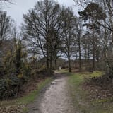 Kinver Edge and Cave Houses Circular, West Midlands, England - 205 ...