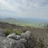 The Pinnacle and Flat Top Mountain, Virginia - 560 Reviews, Map | AllTrails