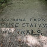 Moon Seed Loop, Louisiana - 378 Reviews, Map | AllTrails