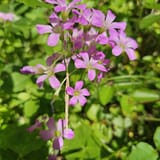 Moon Seed Loop, Louisiana - 389 Reviews, Map | AllTrails