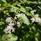 Moon Seed Loop, Louisiana - 363 Reviews, Map | AllTrails