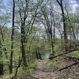 Geode State Park, Iowa - 313 Reviews, Map | AllTrails