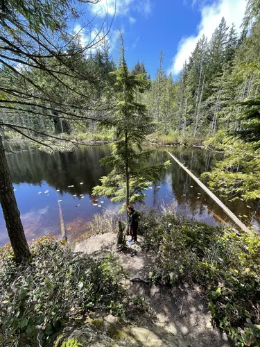 Best Walking Trails in Larrabee State Park | AllTrails