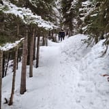 Fairview Lookout, Alberta, Canada - 1,892 Reviews, Map | AllTrails