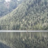 Perseverance Lake Trail, Alaska - 249 Reviews, Map | AllTrails