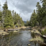 Perseverance Lake Trail, Alaska - 249 Reviews, Map | AllTrails