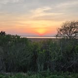 Cedar Bonnet Island, New Jersey - 155 Reviews, Map | AllTrails