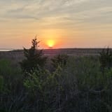 Cedar Bonnet Island, New Jersey - 155 Reviews, Map | AllTrails