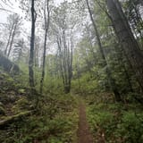 Thacker Mountain Loop, British Columbia, Canada - 343 Reviews, Map | AllTrails