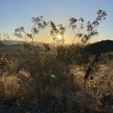 Dixie Mountain Loop Trail, Arizona - 3,396 Reviews, Map | AllTrails