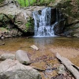 Cascade Falls Loop Trail, Maryland - 2,779 Reviews, Map | AllTrails