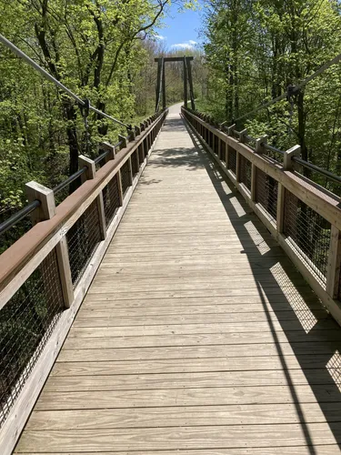 Best Hikes and Trails in Grand Ravines | AllTrails