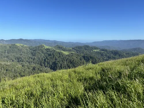 Best Moderate Trails in Russian Ridge Open Space Preserve | AllTrails