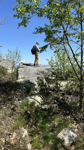 Best Hikes and Trails in Basye | AllTrails