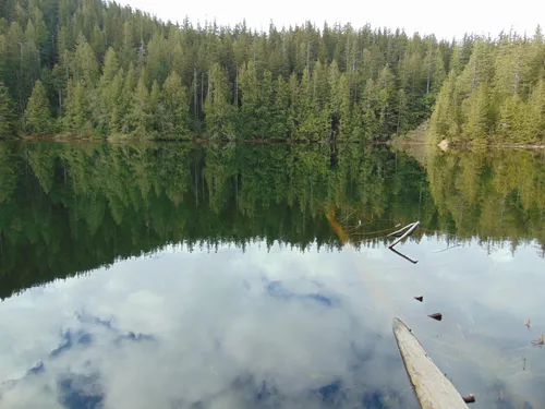 Best River Trails in Sumas Mountain Regional Park | AllTrails