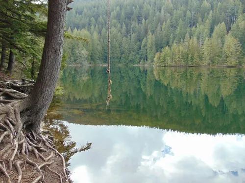 Best River Trails in Sumas Mountain Regional Park | AllTrails