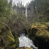 Watson Falls, Oregon - 1,106 Reviews, Map | AllTrails