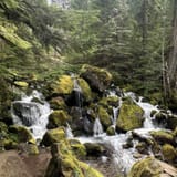 Watson Falls, Oregon - 1,106 Reviews, Map | AllTrails