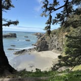 Secret Beach Trail, Oregon - 1,388 Reviews, Map | AllTrails