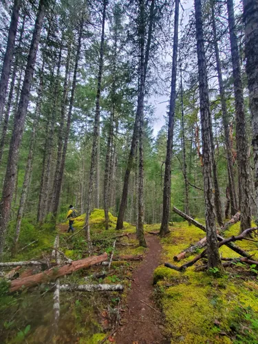 Best Kid Friendly Trails in Sooke Hills Wilderness Regional Park ...