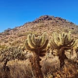 Dixie Summit Trail, Arizona - 1,534 Reviews, Map | AllTrails