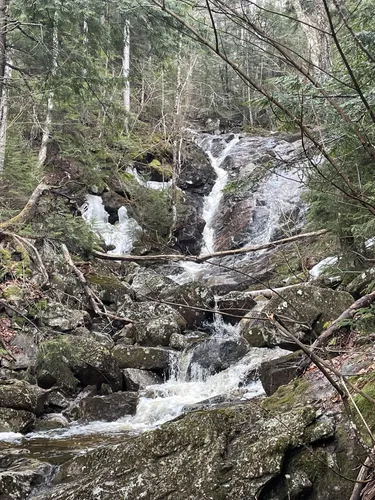 Best Snowshoeing Trails in Sandwich Range Wilderness | AllTrails