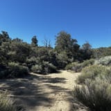 Panorama Loop, California - 3,011 Reviews, Map | AllTrails