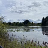 Chehalis Western Trail, Washington - 546 Reviews, Map | AllTrails